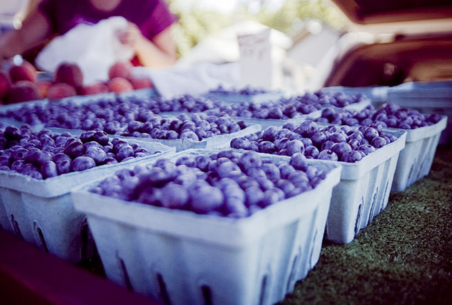 9 Reasons to Eat More Blueberries - Joe Cross